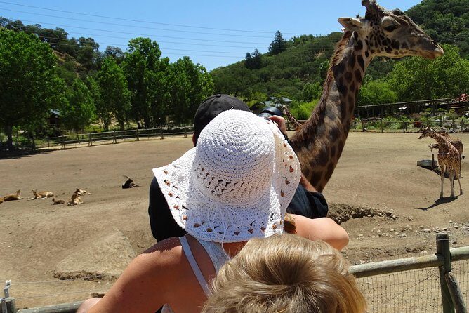 Experience our redwoods and wild Safari outdoor adventure - Who will love this tour?