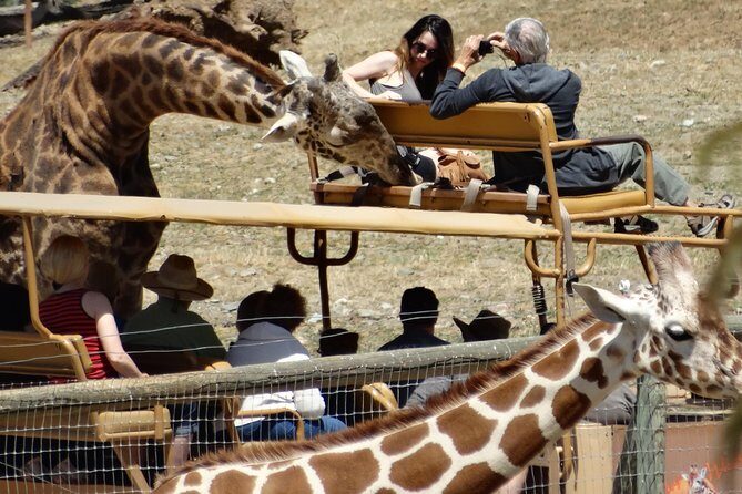 Experience our redwoods and wild Safari outdoor adventure - Frequently Asked Questions