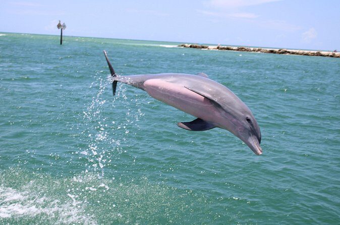 Experience Parasailing in Sarasota - The Experience: What Travelers Can Expect