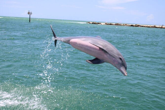 Experience Parasailing in Sarasota - Practical Details: Transportation, Timing, and Group Size