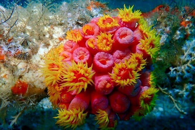 Experience Peanut Island Adventures - What to Expect from Your Peanut Island Adventure