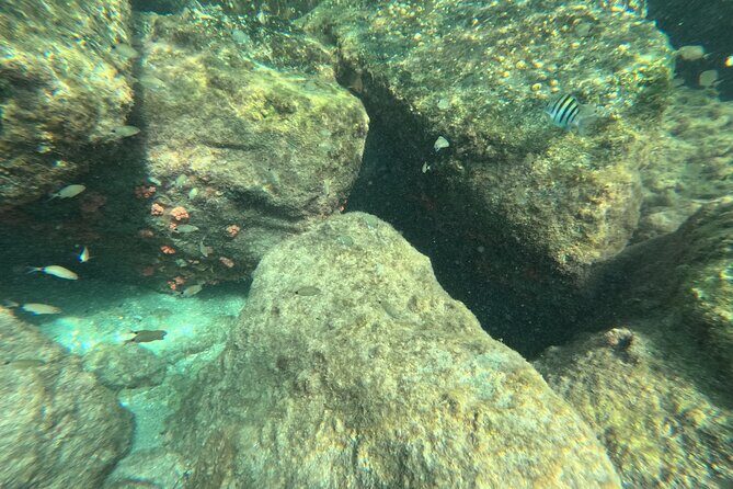 Experience Peanut Island Adventures with Go Pro - An Honest Look at the Peanut Island Private Tour