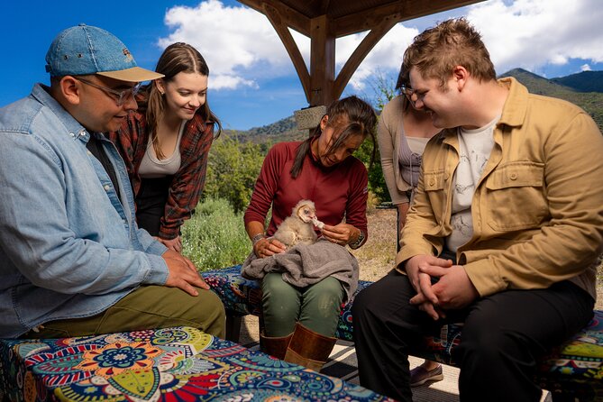 Experience Raptors and Falconry in Reno - Overview of the Falconry Experience