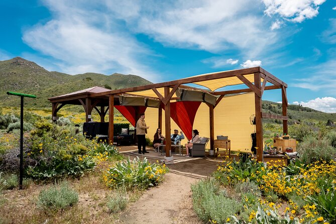 Experience Raptors and Falconry in Reno - Whats Included in Your Adventure