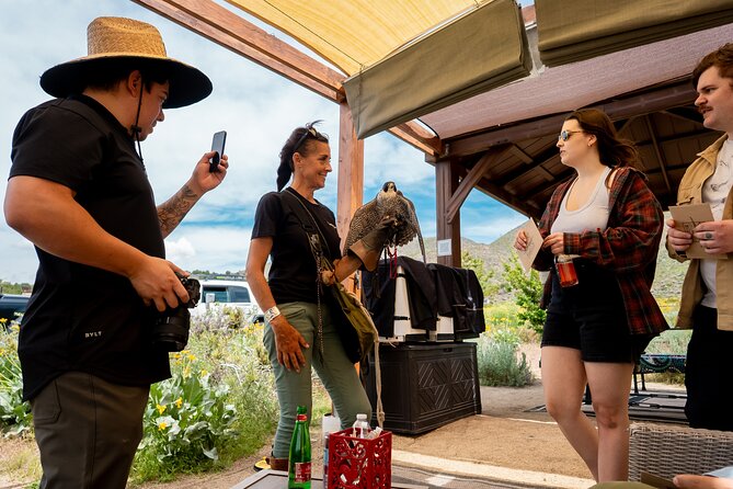 Experience Raptors and Falconry in Reno - Meet Your Expert Falconer, Kathleen