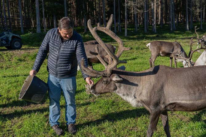 Experience Reindeer Farm and Ranua Wildlife Park in Rovaniemi - Practical Details and Considerations