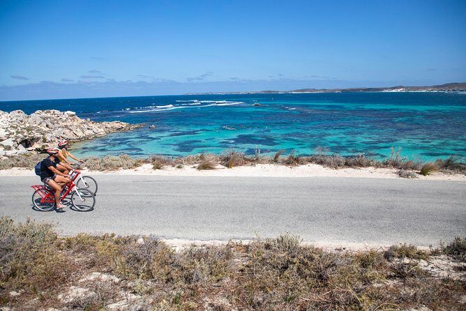 Experience Rottnest with Ferry & Bike Hire - The Sum Up: Who is This Tour For?
