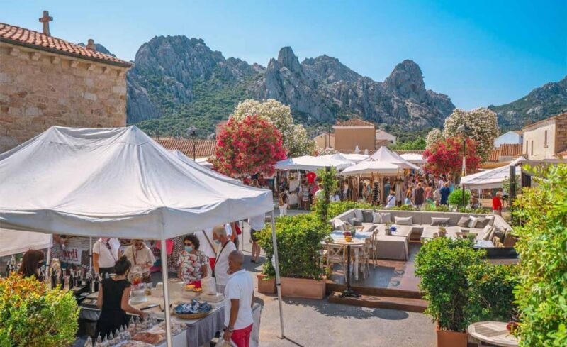 Experience Sardinia:North Coast Tour Between Sea and History - The Sum Up