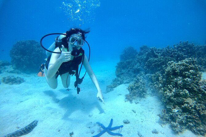 Experience Scuba Diving - No Certification Needed! - Key Points