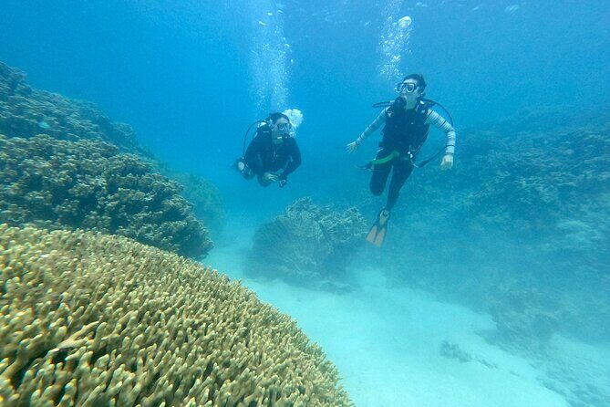 Experience Scuba Diving - No Certification Needed! - The Sum Up