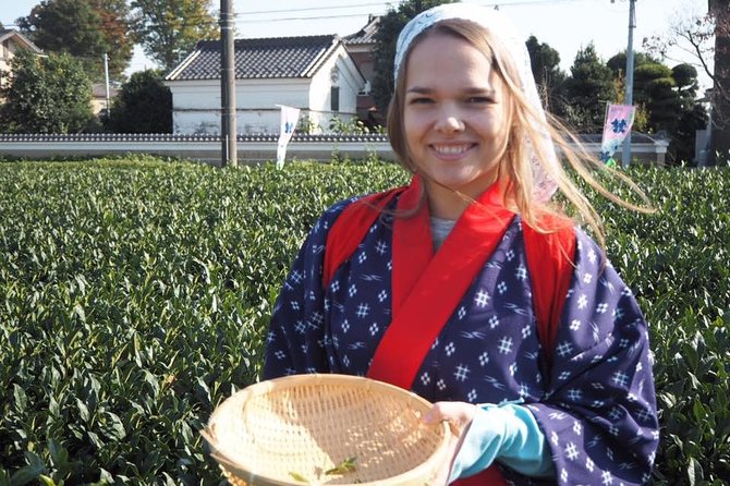 Experience Seasonal Green Tea Picking in Sayama and Nostalgic Walk in Kawagoe! - Health and Accessibility Considerations