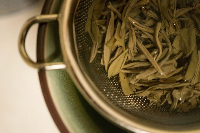 Experience Shanghai: Private Tea Ceremony Tour - Final Thoughts