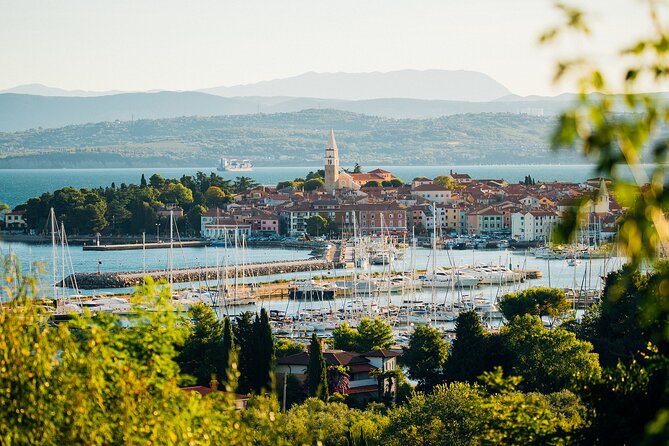 Experience Slovenian Coast Line With Wine Tasting From Trieste - Additional Information