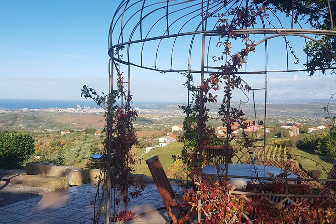 Experience Slovenian Coast Line With Wine Tasting From Trieste - Discovering Scenic Slovenian Wineries
