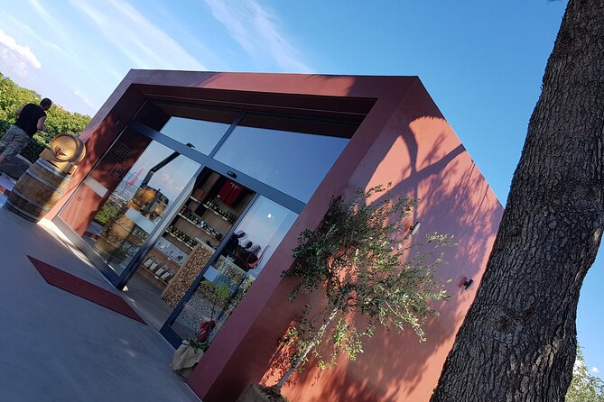 Experience Slovenian Coast Line With Wine Tasting From Trieste - Frequently Asked Questions