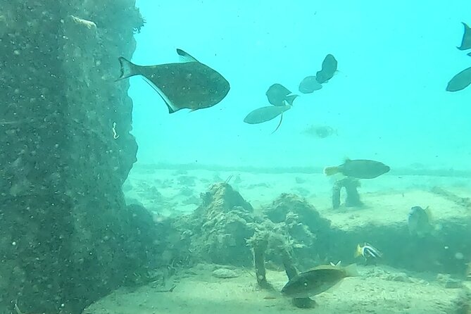 Experience Snorkeling in Sanur - What to Expect on the Snorkeling Trip