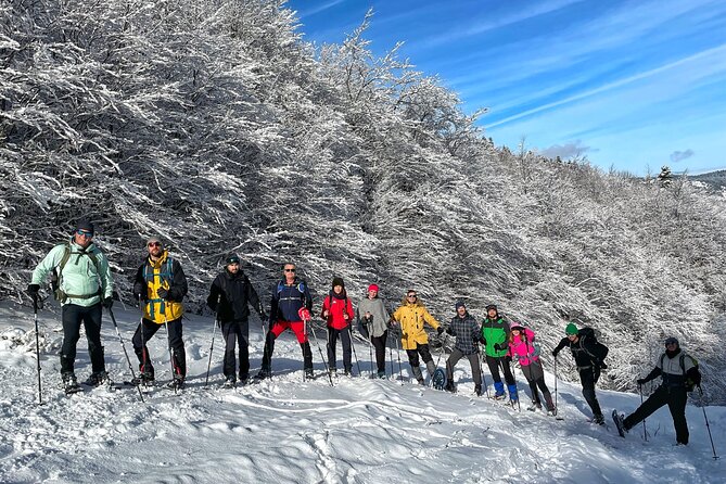 Experience Snowshoeing in Olympic Mountain Bjelanica - A Detailed Look at the Snowshoeing Experience in Bjelanica