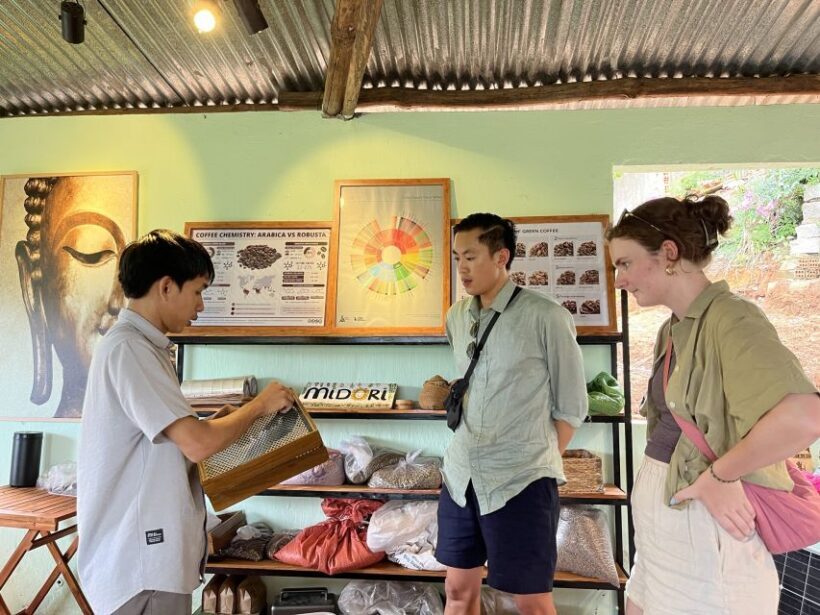 Experience specialty coffee with sustainable coffee farmers - In-Depth Review of the Coffee Experience