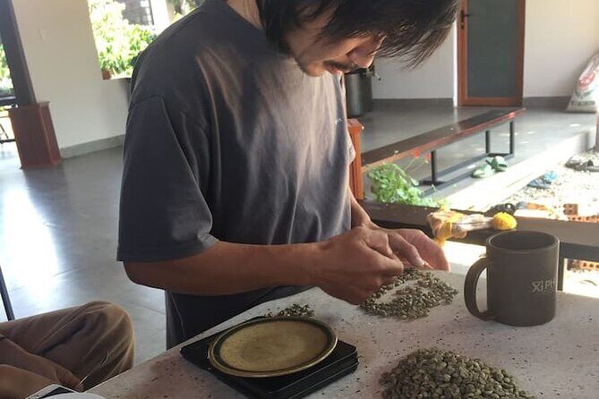 Experience specialty coffee with sustainable coffee farmers - An In-Depth Look at the Coffee Tour