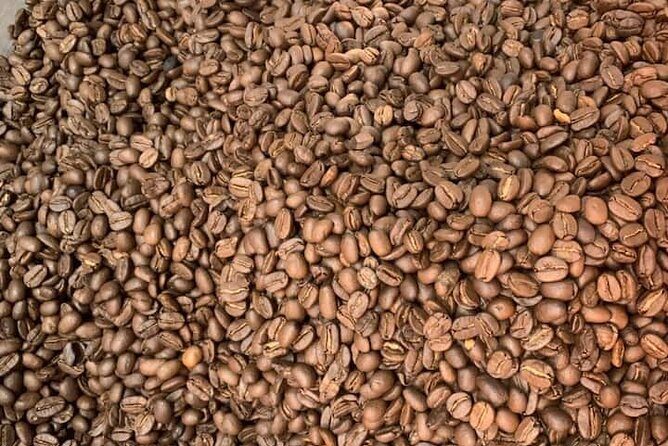 Experience specialty coffee with sustainable coffee farmers - The Sum Up