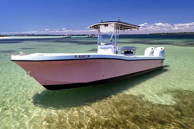 Experience Sunset and Dolphin Adventure in Panama - The Experience in Detail