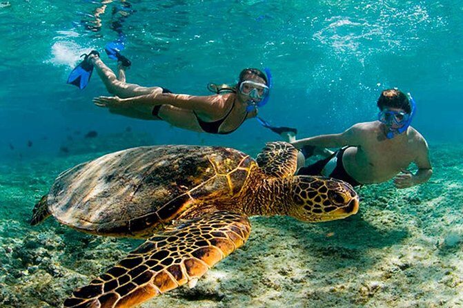 Experience swimming with turtles and explore the ruins of Tulum. Lunch included. - Exploring Tulum: A Window into Ancient Civilization