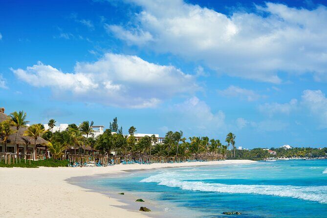 Experience swimming with turtles and explore the ruins of Tulum. Lunch included. - Practical Details and Value