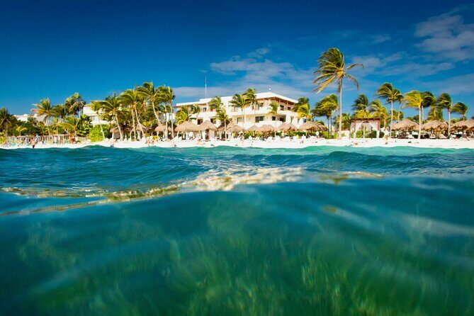 Experience swimming with turtles and explore the ruins of Tulum. Lunch included. - Review Highlights and Authentic Perspectives