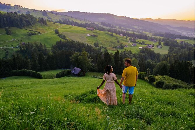 Experience Swiss Countryside on a Private Tour by Car from Zurich - Key Points