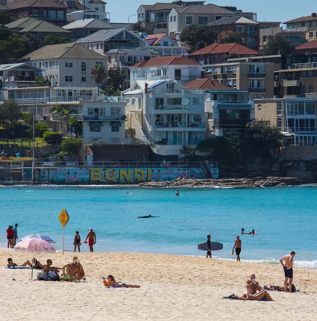 Experience Sydney's Best Beaches: Private Tour - The Beaches and Coastal Walks