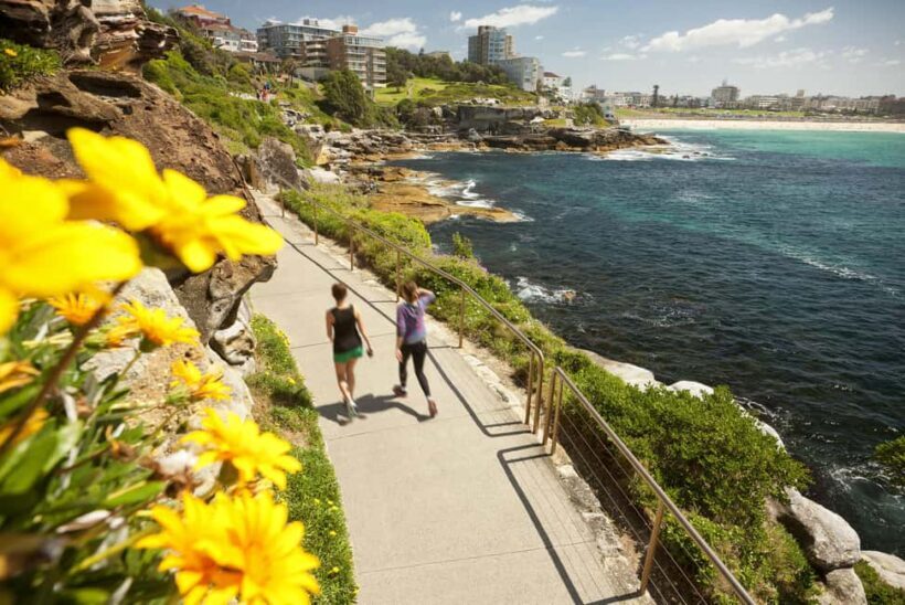 Experience Sydney's Best Beaches: Private Tour - Price and Value