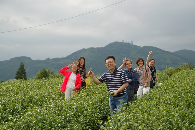 Experience Tea Picking With a Tea Farmer, and Tempura Lunch With Picked Tea Leaves - Tempura Lunch With Picked Tea Leaves