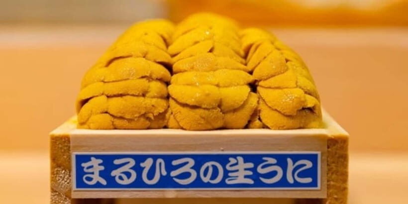 Experience the Art of Edo-Style Sushi: Sushi Dragon Shibuya - Why This Experience Stands Out