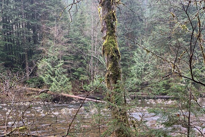 Experience the Beauty of Vancouvers Forests by Bike/E-Bike - FAQs
