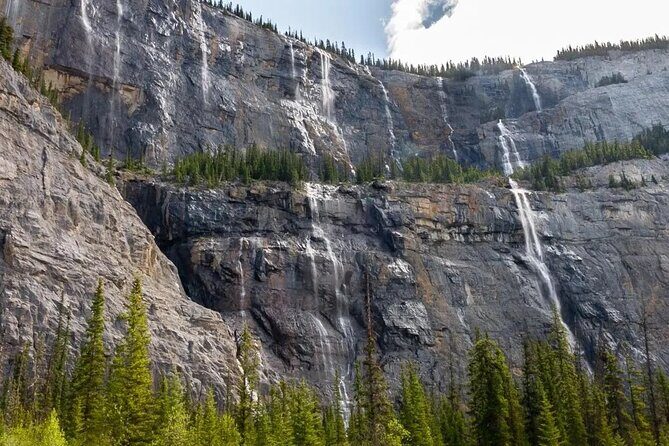 Experience the Columbia Icefield: Private Tour from Calgary - FAQs