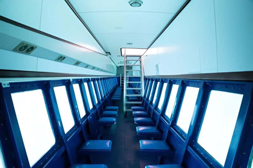 Experience the Exciting Caribbean Underwater World - Key Points