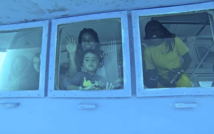 Experience the Exciting Caribbean Underwater World - Itinerary Breakdown: What to Expect