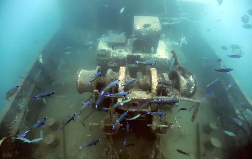 Experience the Exciting Caribbean Underwater World - Transportation and Group Size