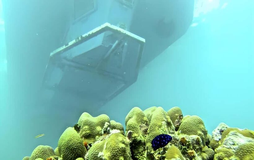 Experience the Exciting Caribbean Underwater World - Who Should Consider This Tour?