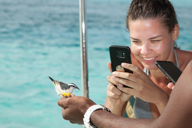 Experience The Exumas and the World Famous Swimming Pigs - Real Experiences from Travelers