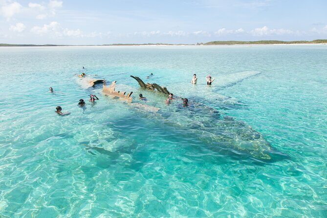 Experience The Exumas and the World Famous Swimming Pigs - Who Will Love This Tour?