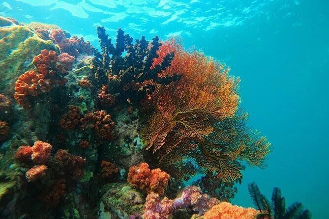 Experience the Koh Lipe Backyard including 5 Mysterious Islands - FAQs