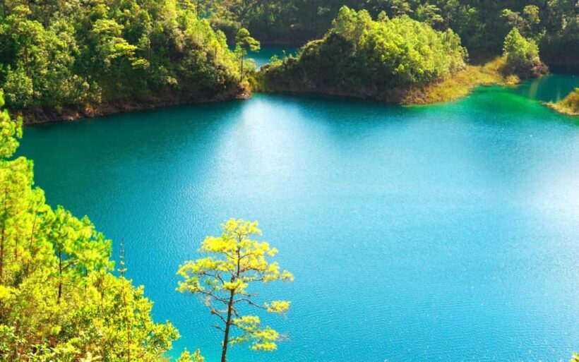 Experience the Magic of Chiapas: 3-Day Tour - Day 3: Indigenous Cultures and Traditional Life