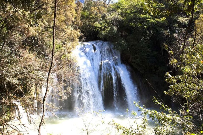 Experience the Magic of Chiapas: 3-Day Tour - Final Thoughts: Is This Tour Right for You?