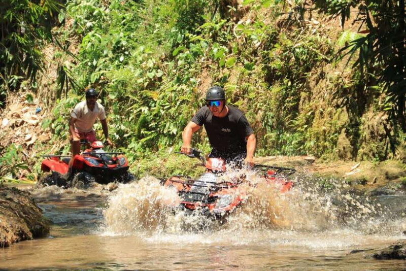 Experience the Ultimate Adventure with Bali Tarantula ATV - What the Bali Tarantula ATV Tour Offers