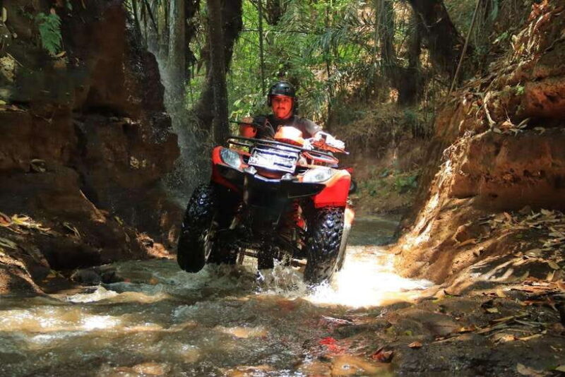 Experience the Ultimate Adventure with Bali Tarantula ATV - Why Choose Bali Tarantula ATV?
