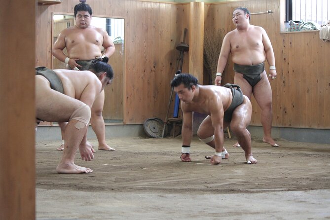 Experience the World of Sumo - Meeting and Transportation Logistics