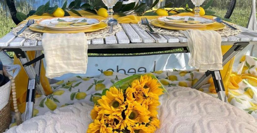 Experience Tranquility with a Picnic at Pedrick Pond Park - The Sum Up