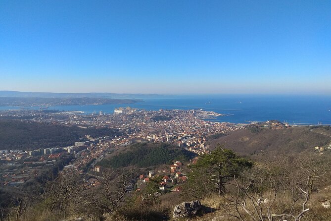 Experience Trieste - Reviewing Traveler Testimonials