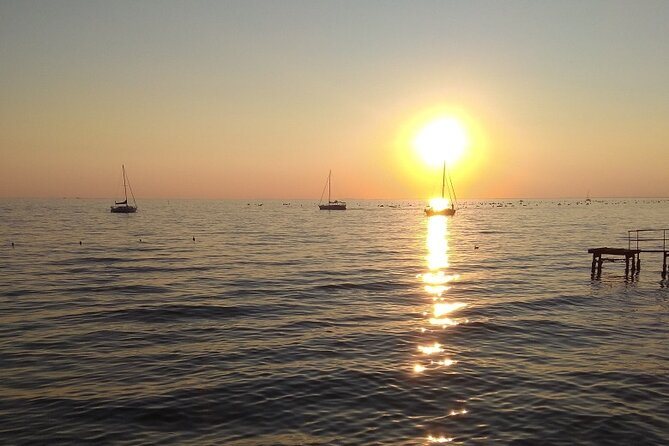 Experience Trieste - Booking and Accessibility Details